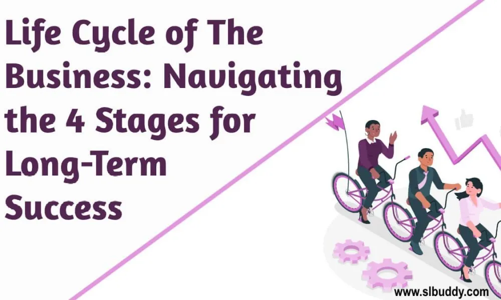 Life Cycle of The Business: 4 Stages for Long-Term Success