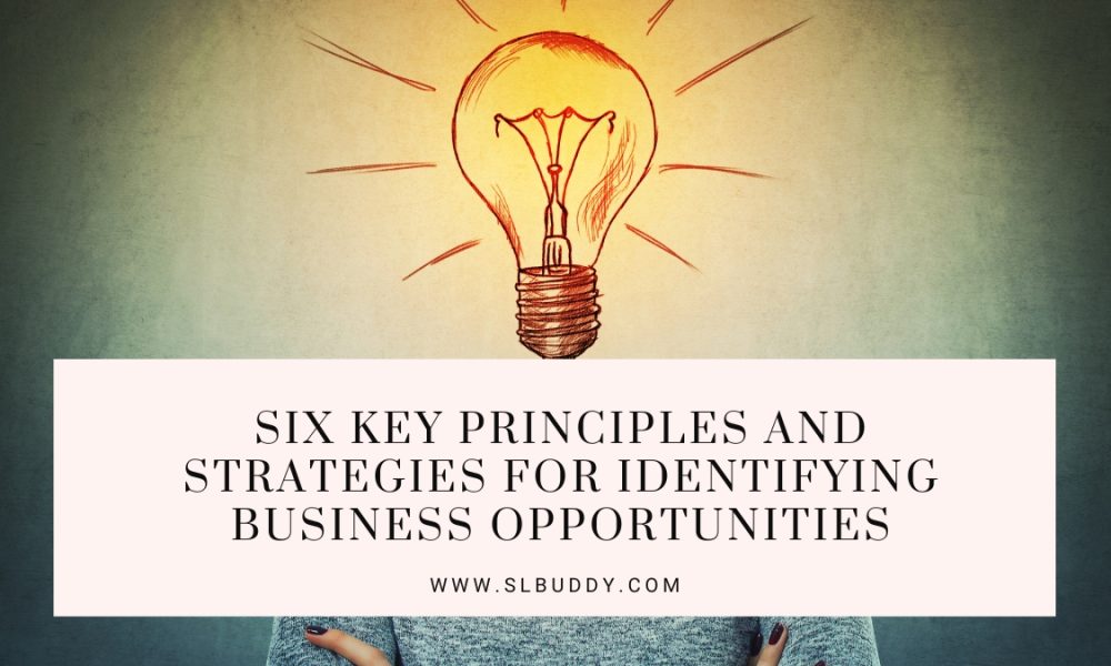 6 Principles and Strategies on Identifying Business Opportunities