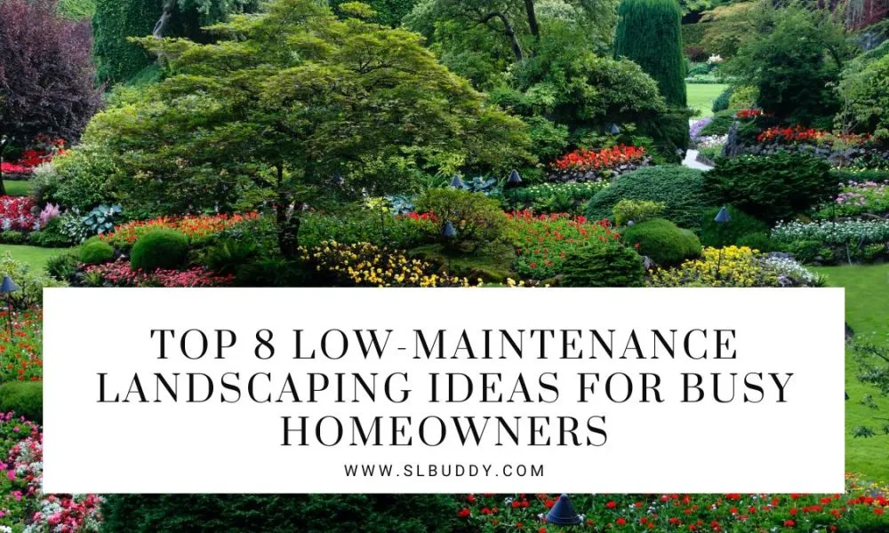 Top 8 Low-Maintenance Landscaping Ideas for Busy Homeowners