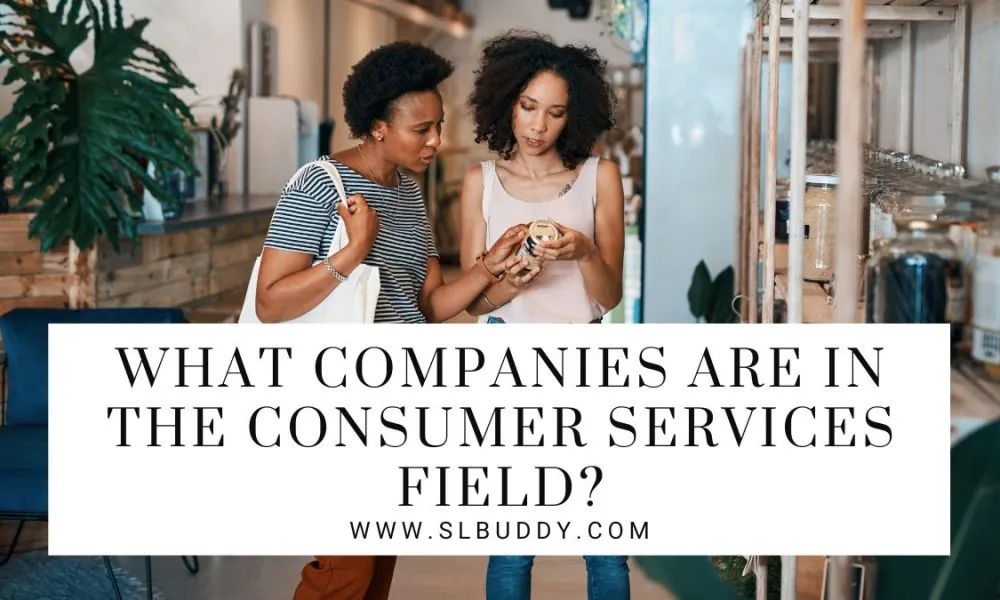 What Companies Are in the Consumer Services Field? Top 25+